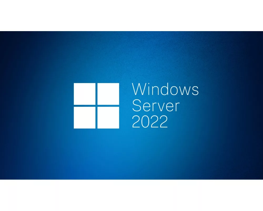 Windows Svr Std 2022 64Bit English 1pk DSP OEI DVD 16 Core 215734 P73 ...